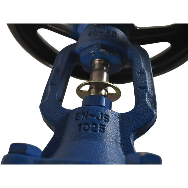 NEW SPIRAX SARCO EN-JS1025 4D-50 DN40 15/25 EN-JL1040 1-3/4'' Control ...