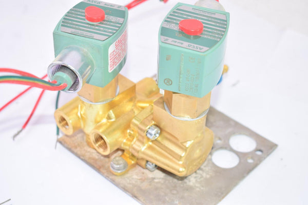 ASCO Red-Hat 8344G044MO Solenoid Valve 1/4'' Pipe 50/60 Hz 8.1 Watts 1