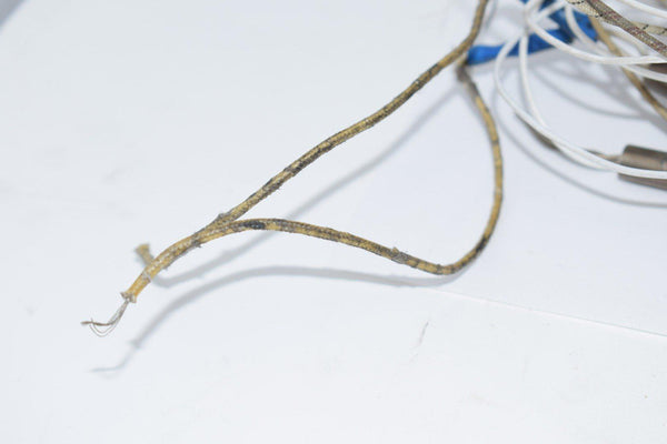 Lot of 14 RAMA Cartridge Heaters 3/8'' Mixed Lot